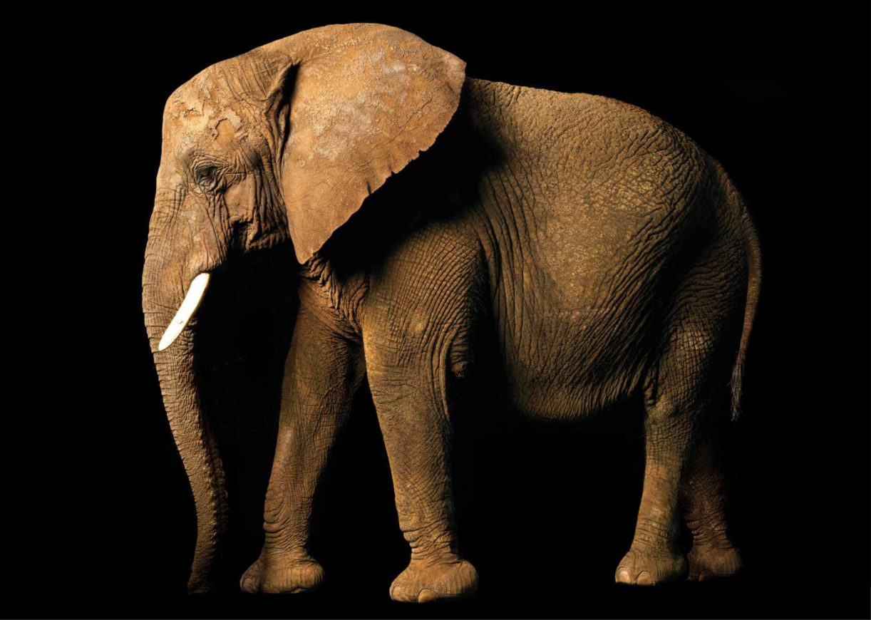 Graphis Master Photographer Mark Laita Featured in Journal #365: The ...