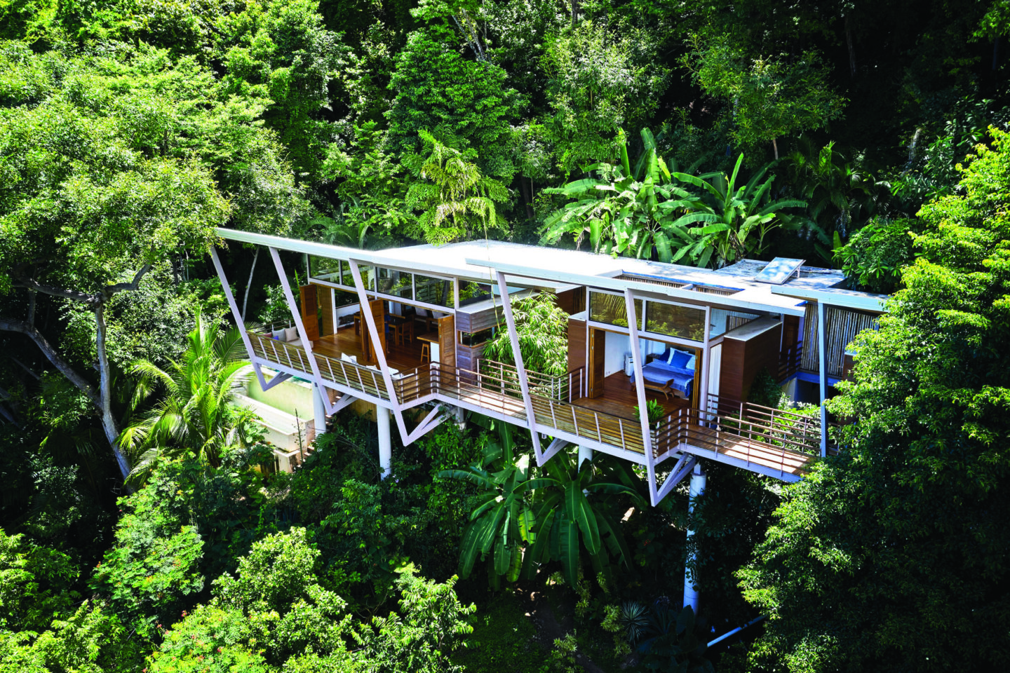 Above the Costa Rican Canopy: Casa Flotanta's Elevated Experience ...