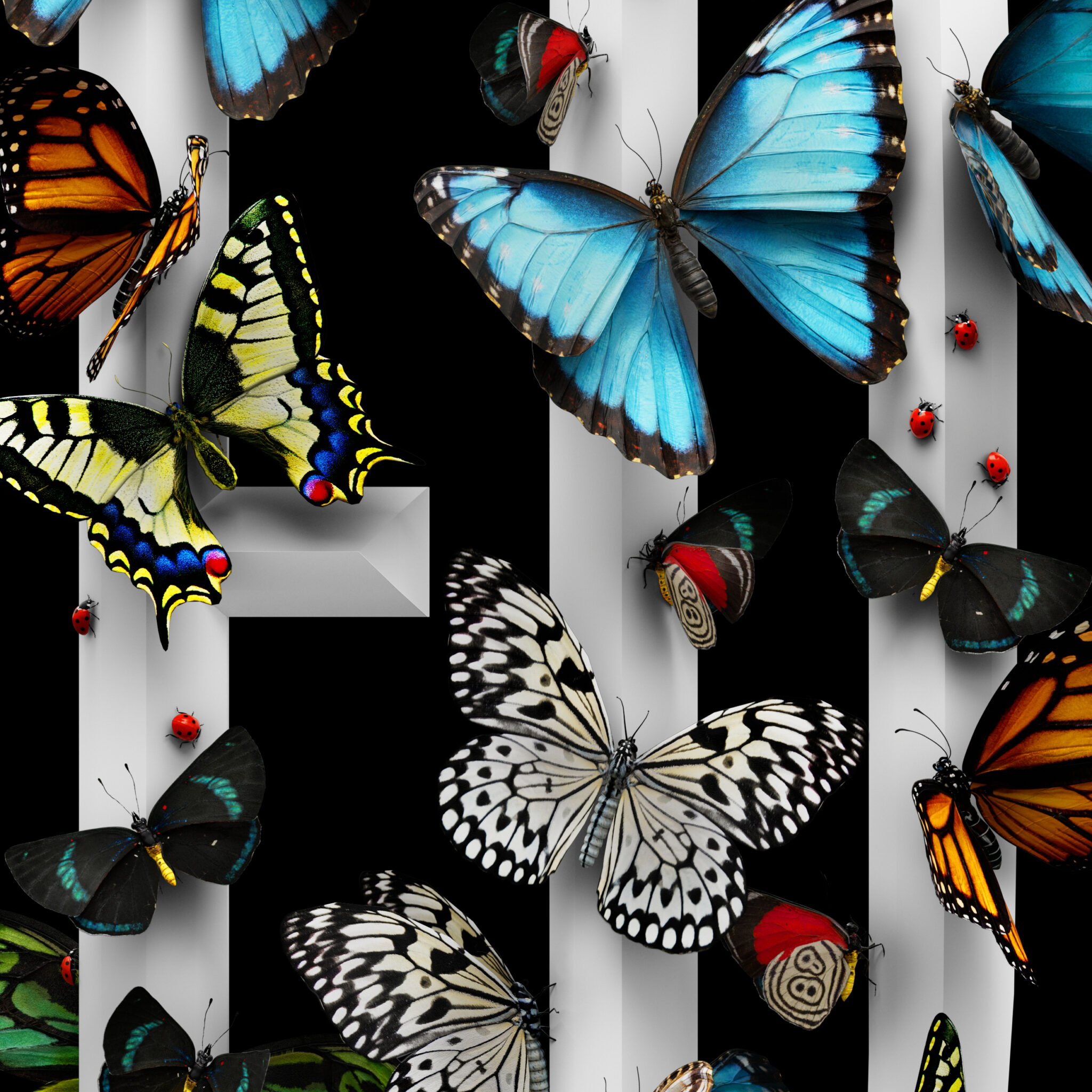 A Look at SEAN & EVE’s Recent Concert Posters - Graphis Award Winners ...